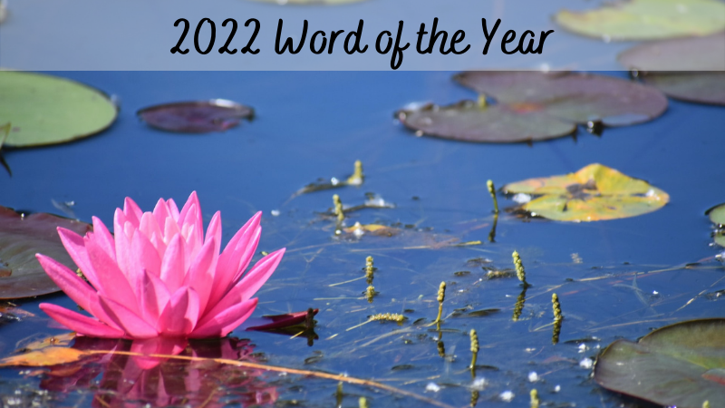2022 Word of the Year - Welcome
